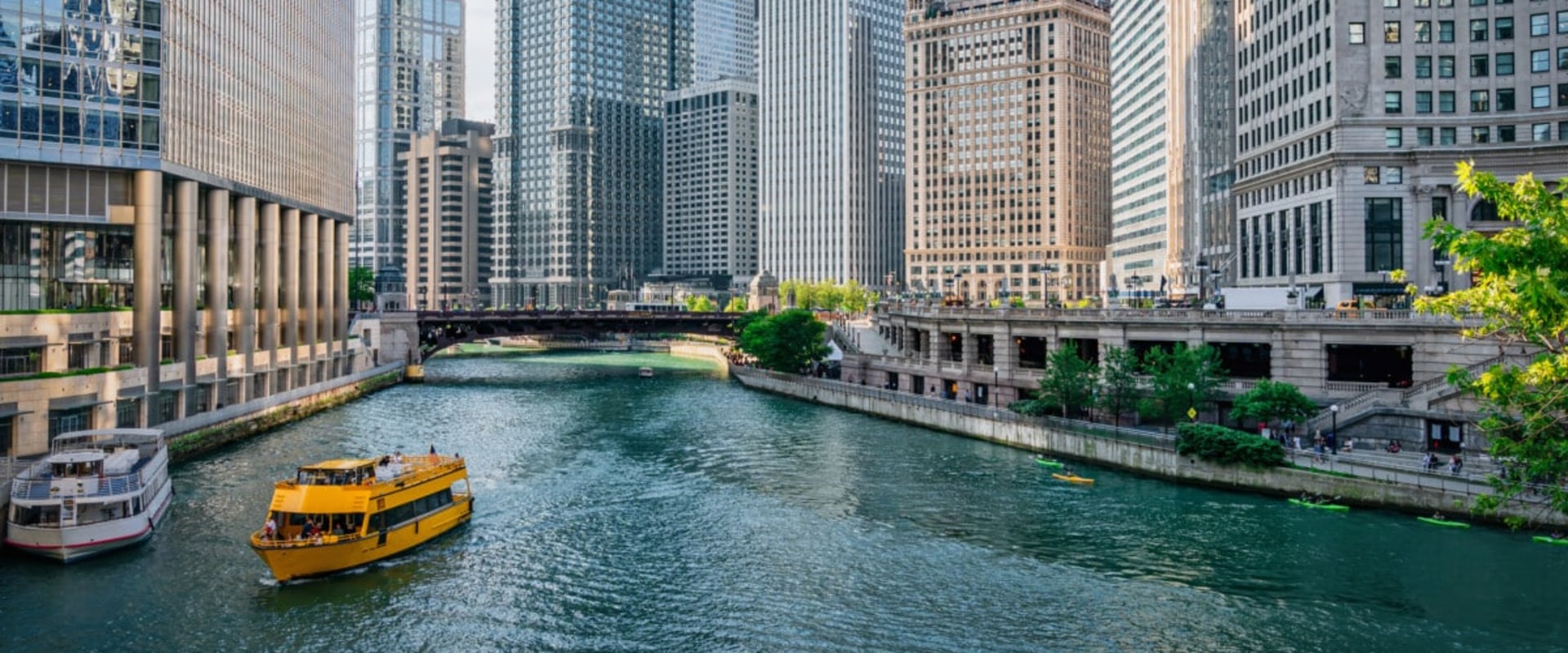 Chicago's Top Relocation Experts: A Comprehensive Guide to Moving Companies